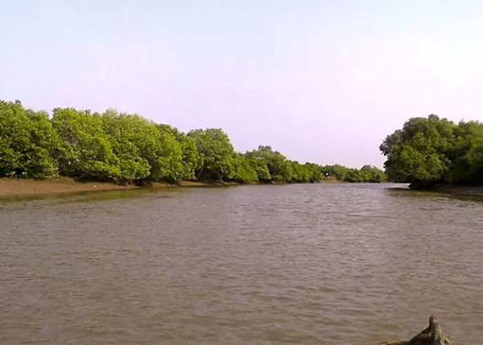 Explore Kakinada: Andhra's coastal paradise with beaches, fresh seafood, Coringa Wildlife, and ...